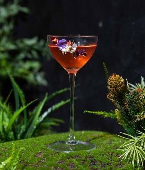 Grog Cocktail Recipe – The Pirate’s Drink