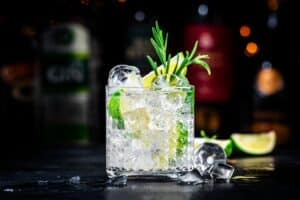 11 Best Cool Tonic Drink Recipes